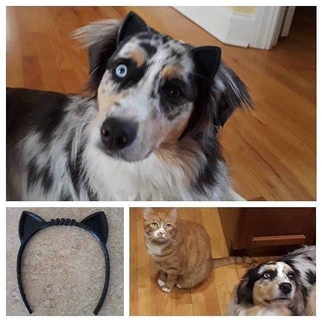 Wearable Cat Ears Hair Band – Rigid And Flexible Options 3D Printer ...