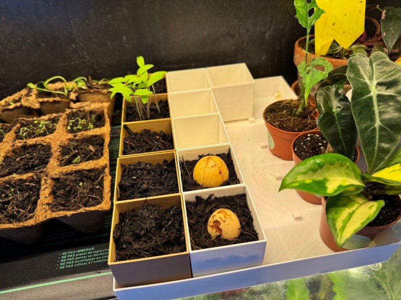 Modular Square Planting Pots Set With Drainage And Water Tray For 20 ...