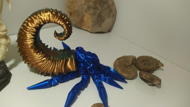 New Articulated Ammonite (shell, Head And Tentacles) Flexible Print-in ...