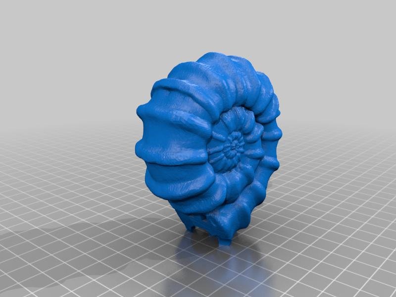 New Articulated Ammonite (shell, Head And Tentacles) Flexible Print-in ...