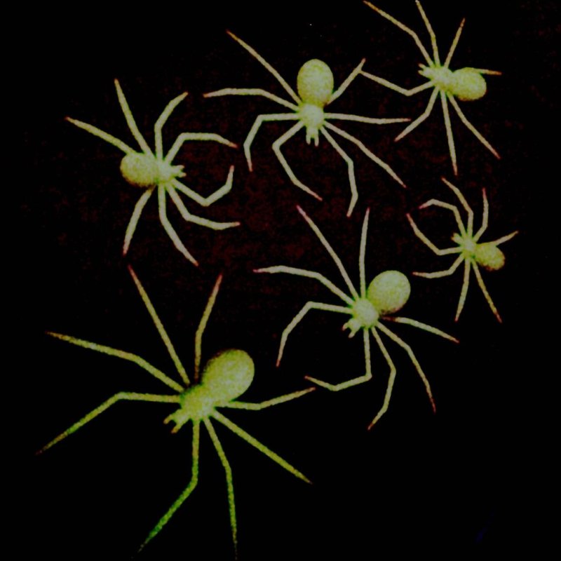 Creepy Halloween Spiders 3D Printer Model Download Free STL File - 3axis.co