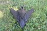 Laser Cut Lockheed F-117 Nighthawk SVG File Free Download - 3axis.co