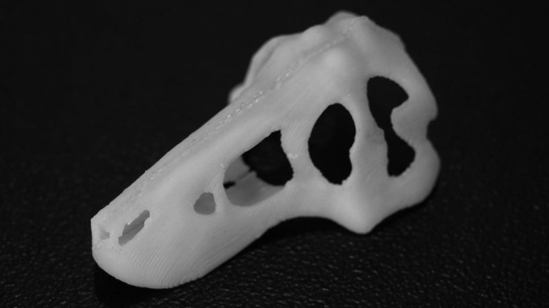 Tyrannosaurus Rex Skull 3D Printer Model Download Free STL File - 3axis.co