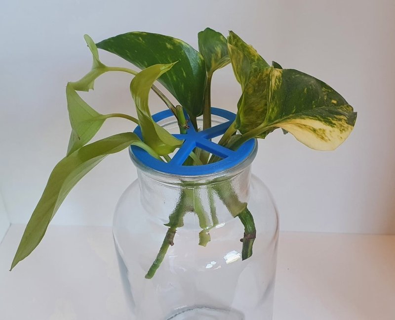 Plant Propagation Support / Holder / Lid 3D Printer Model Download Free ...