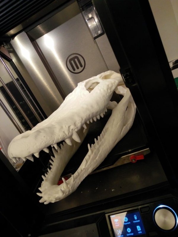 Alligator Skull 3D Printer Model Download Free STL File - 3axis.co