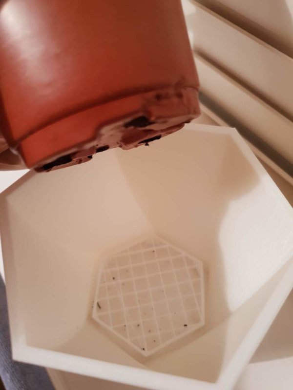 Twisted Hexagon Flower Pot 3D Printer Model Download Free STL File ...