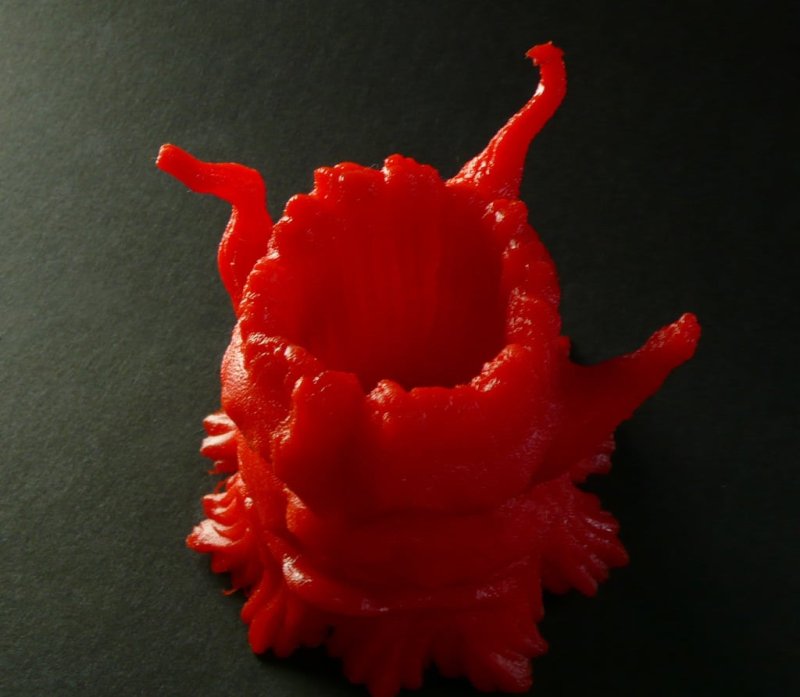 Tunk The Trunk Face 3D Printer Model Download Free STL File - 3axis.co