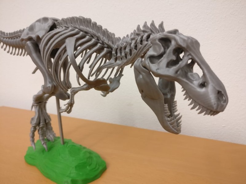 T-Rex Skeleton With Fixed Files 3D Printer Model Download Free STL File ...