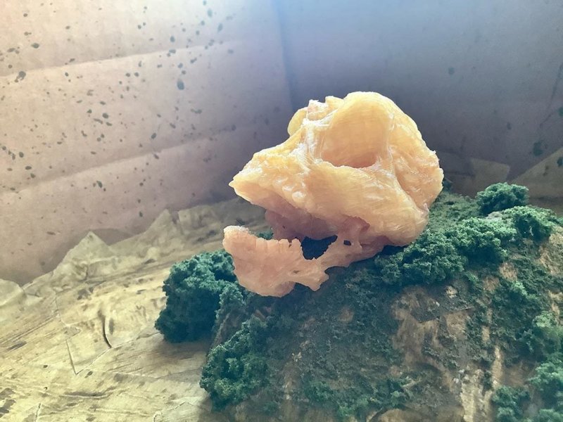 The Cursed Skull 3D Printer Model Download Free STL File - 3axis.co