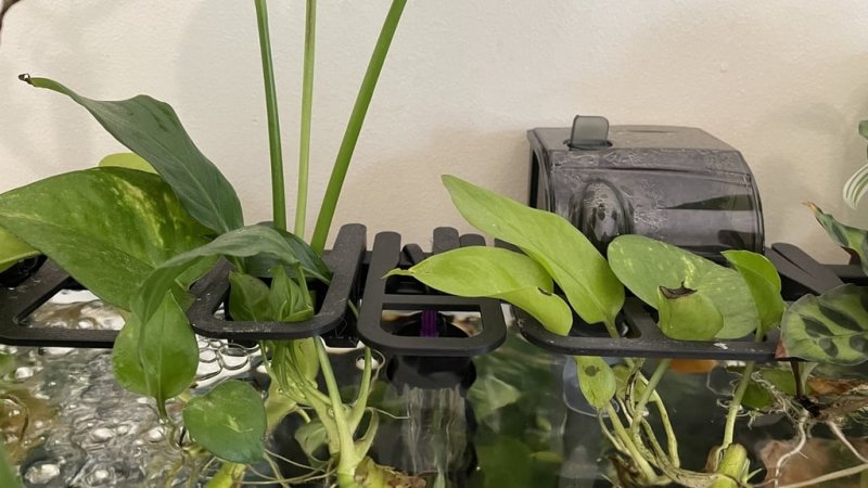 Aqua One Fish Tank Plant Holders 3D Printer Model Download Free STL ...