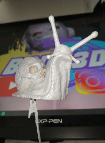 Skull Snail 3D Printer Model Download Free STL File - 3axis.co