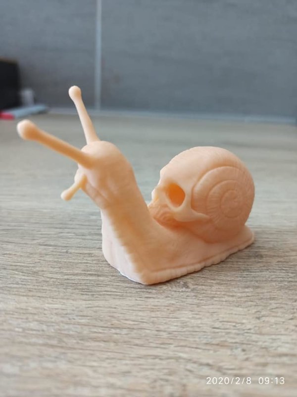 Skull Snail 3D Printer Model Download Free STL File - 3axis.co
