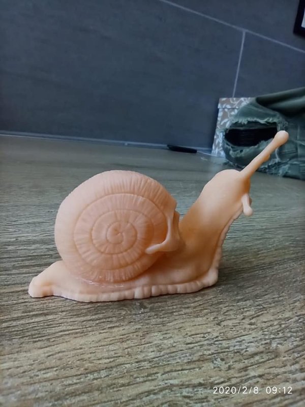 Skull Snail 3D Printer Model Download Free STL File - 3axis.co