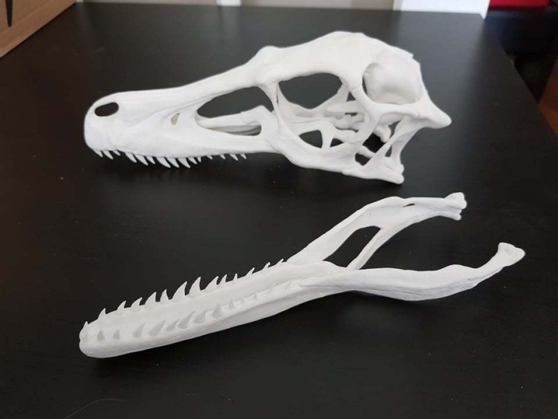 Full Size Velociraptor Skull – Easier Print 3D Printer Model Download ...
